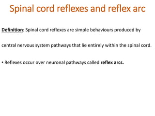 lect 9-nervous system physiology.pptx
