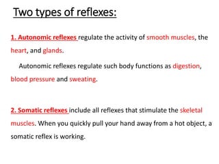 lect 9-nervous system physiology.pptx