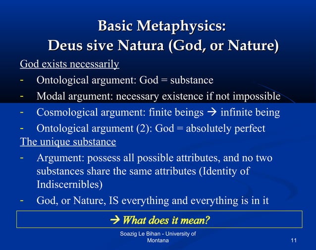 Spinoza Problem Spinoza | PPT