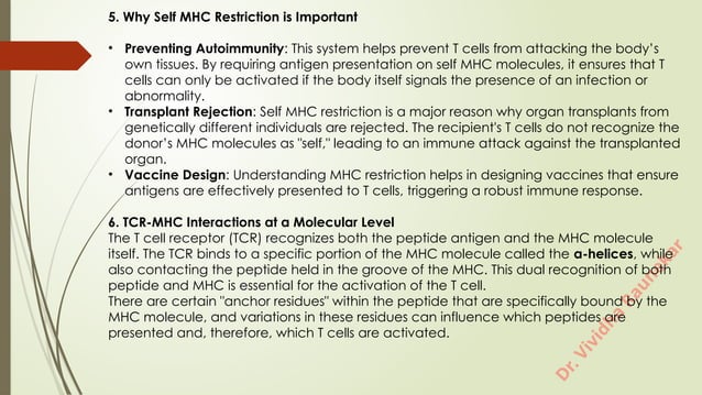 Self MHC (Major Histocompatibility Complex) restriction | PPTX