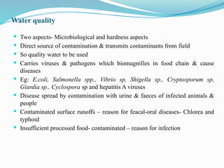 Role of water and its significance in Food Processing | PPTX