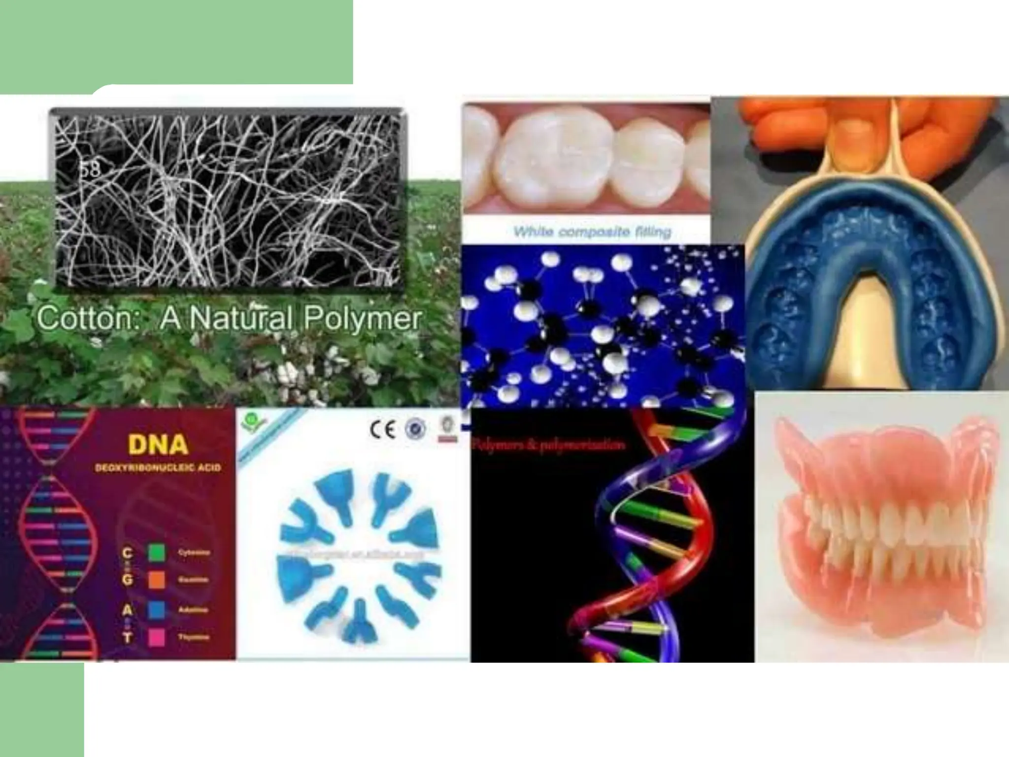lect dental-polymers.ppt including heat and cold | PPT | Chemistry | Science