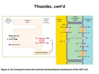 Lect_Diuretics(2).pdf