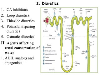 Lect_Diuretics(2).pdf