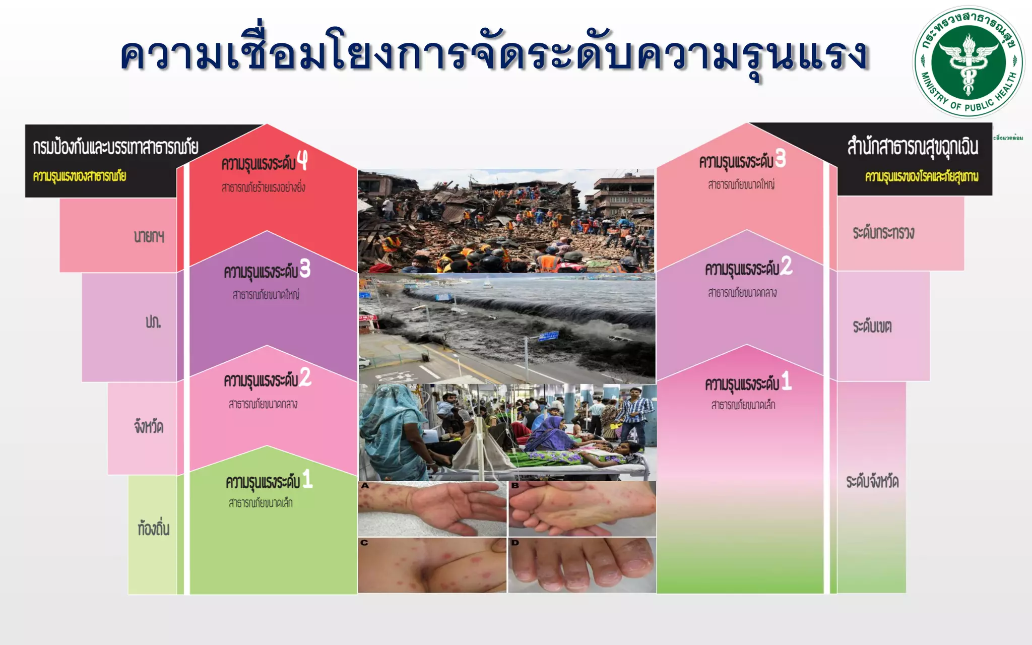 Public Health Emergency Management | PDF