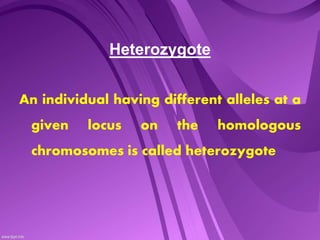 embriology of human | PPT