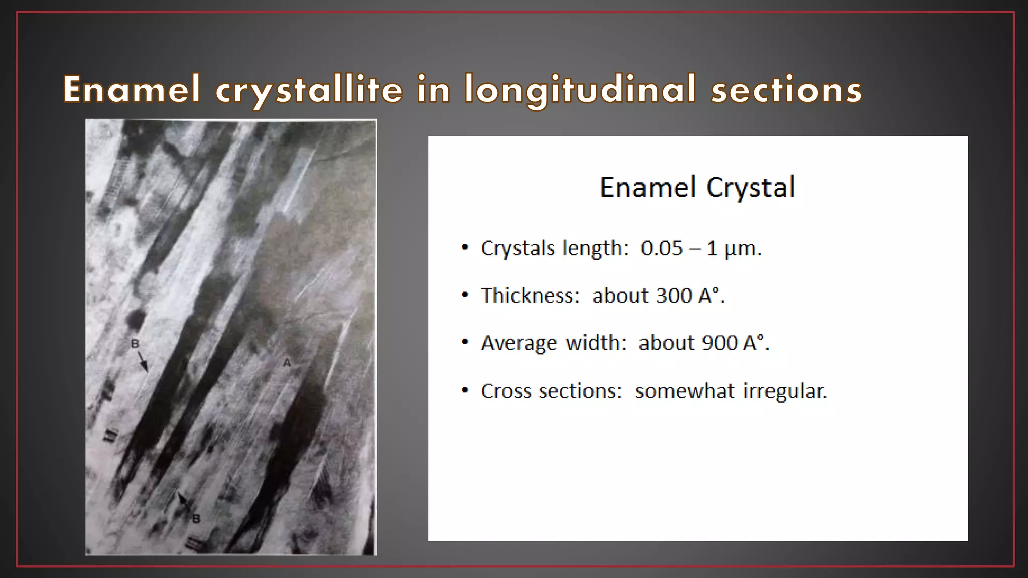 1st BDS Lecture on tooth Enamel | PPTX