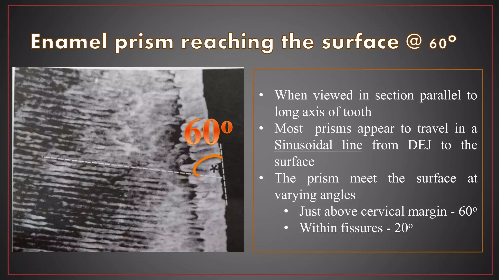 1st BDS Lecture on tooth Enamel | PPTX