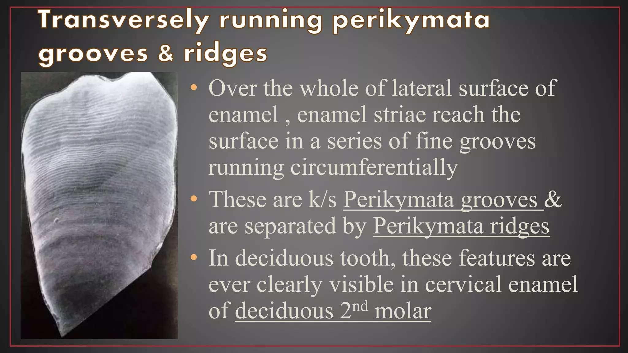1st BDS Lecture on tooth Enamel | PPTX