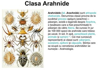 Artropode Cristi Grigorii | PPT