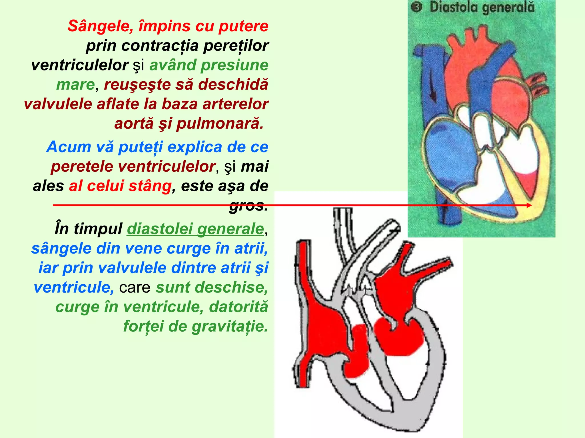 Lectie 24 fiziologia_sistemului_circulator. | PPT