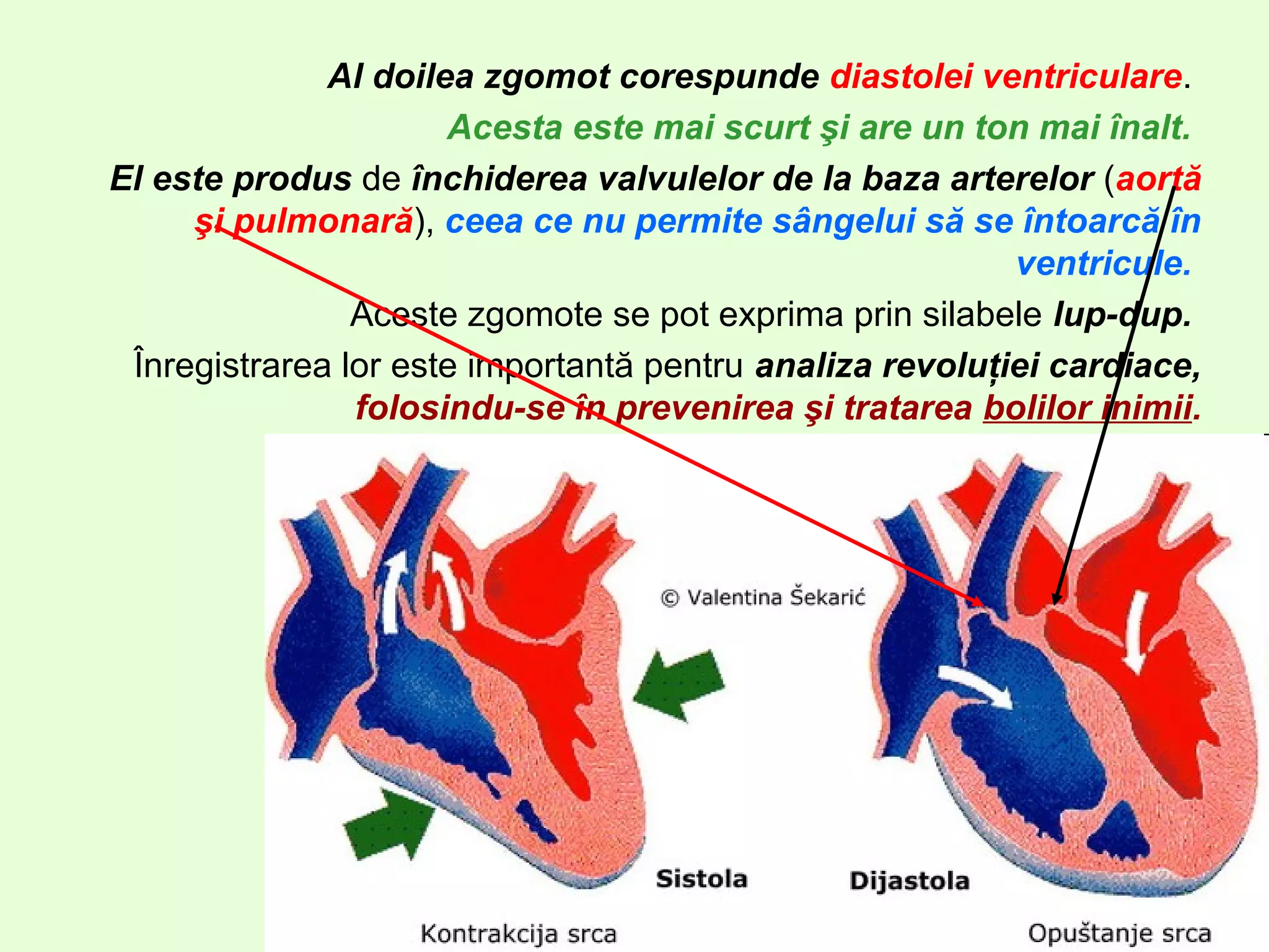 Lectie 24 fiziologia_sistemului_circulator. | PPT