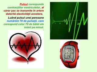 Lectie 24 fiziologia_sistemului_circulator. | PPT