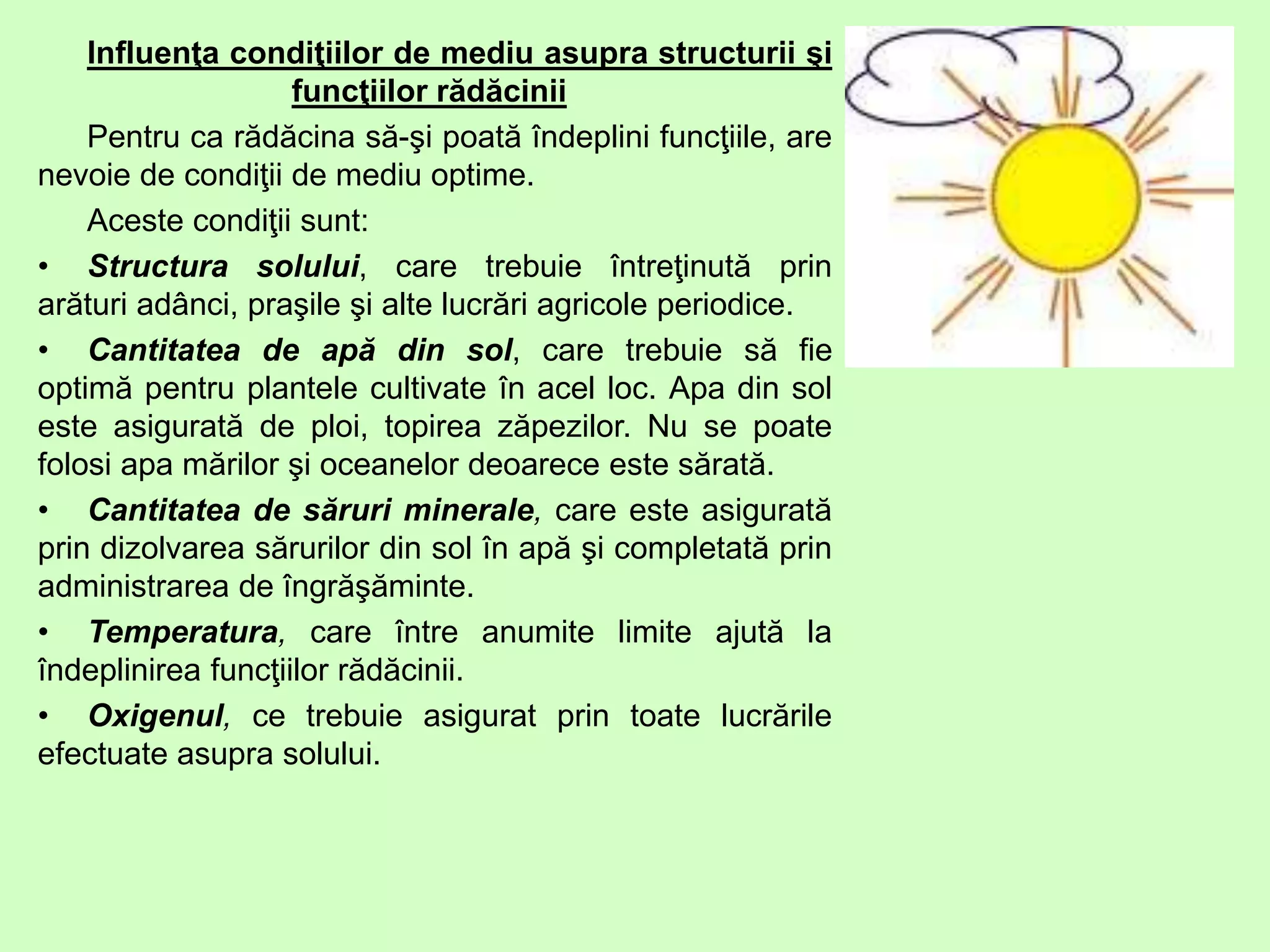 Lectie5 alcatuireageneralaauneiplantecuflori.radacina. | PPT