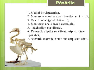lectie biologie clasa a 9 a | PPTX