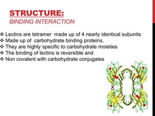 Lectins | PPTX