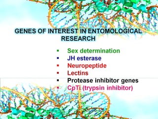 Lectins for pest control | PPT