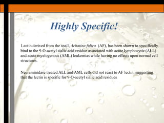 Lectins - The next medical tool? | PPTX