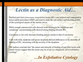Lectins - The next medical tool? | PPTX