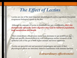 Lectins - The next medical tool? | PPTX