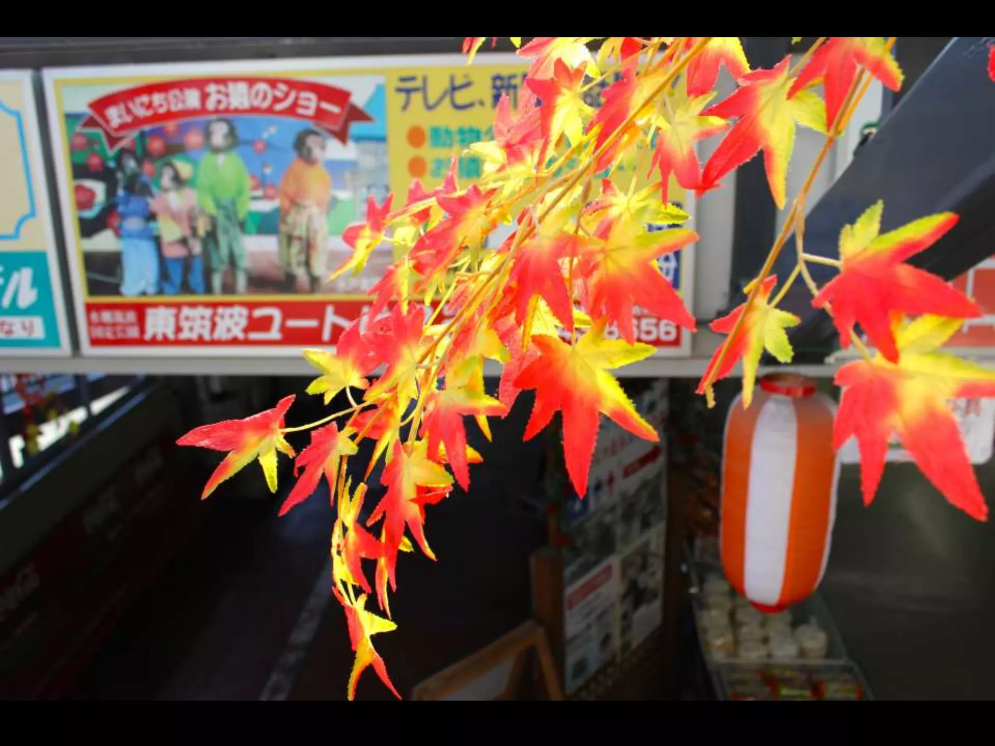 Lectio praecursoria - Visual knowing and visualizing knowledge in ...