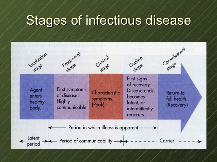 Bohomolets Microbiology Lecture #8