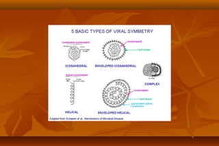 Lect no.1 a introduction to virology-gen.prop and class | PPT | Biological Sciences | Science