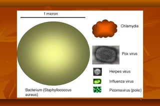 Lect no.1 a introduction to virology-gen.prop and class | PPT | Biological Sciences | Science