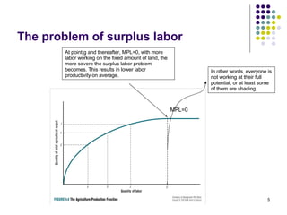 Lectnotes 8 Econ175a | PPT