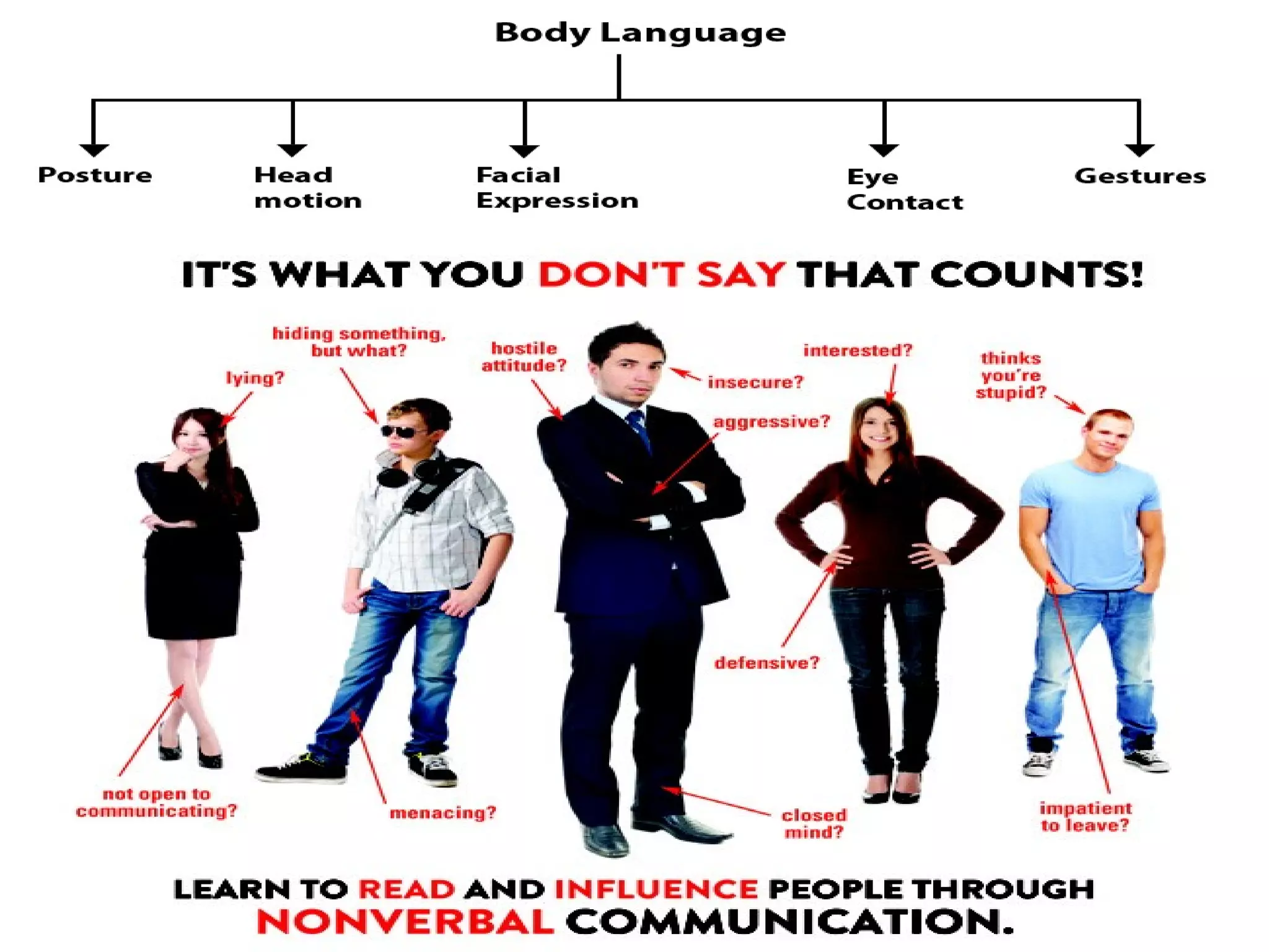 Lectors and commentators | PPT