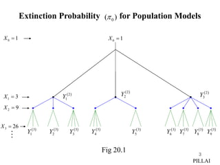 lectr20 extinction probability of different.ppt