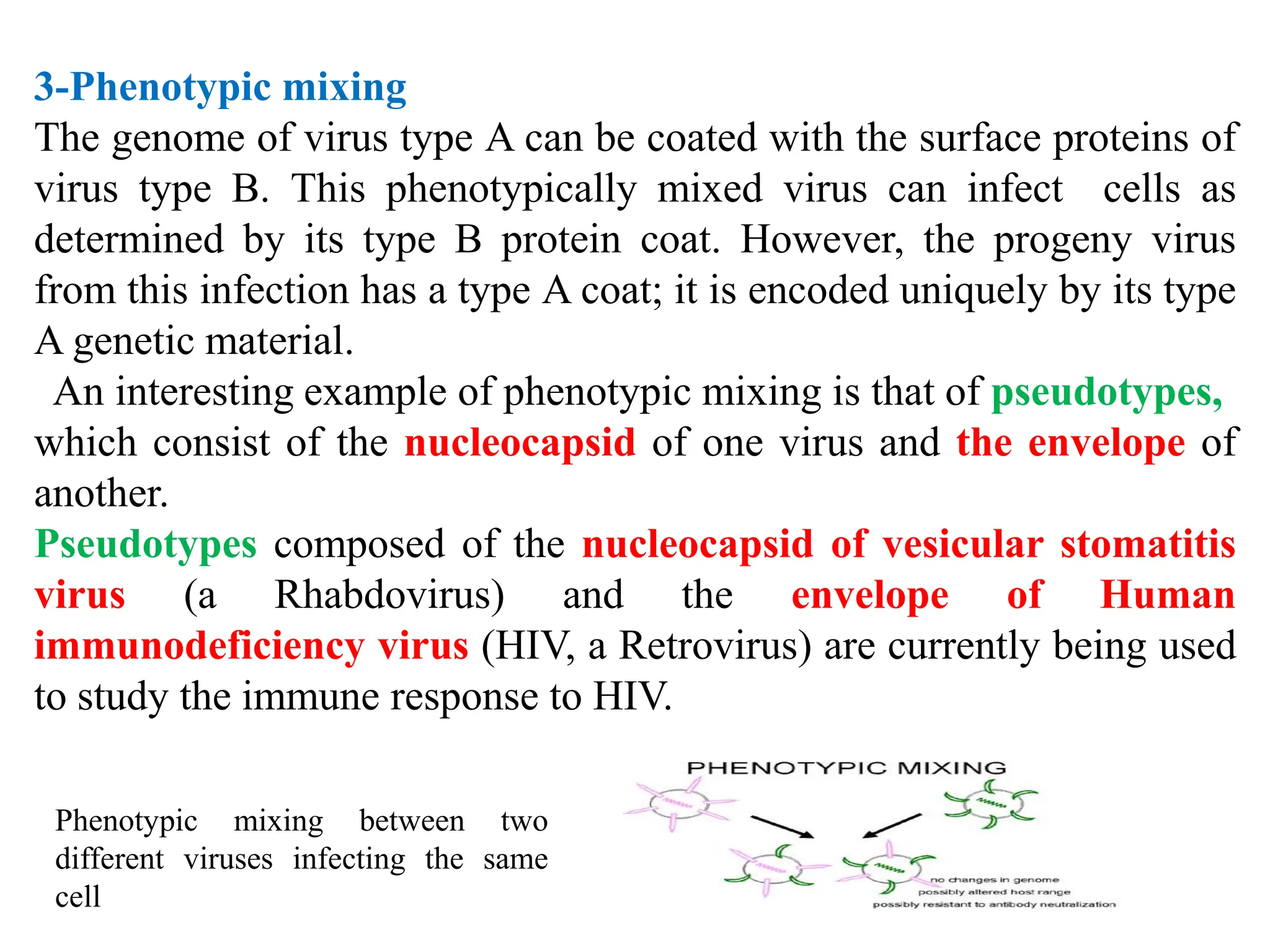Lectral 5.Viral pathogenesis and viral genetics.pdf