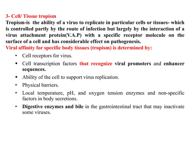 Lectral 5.Viral pathogenesis and viral genetics.pdf