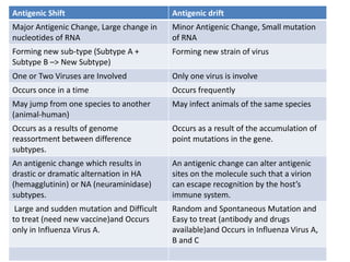 Lectral 5.Viral pathogenesis and viral genetics.pdf