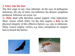 Lectral 5.Viral pathogenesis and viral genetics.pdf