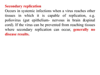 Lectral 5.Viral pathogenesis and viral genetics.pdf