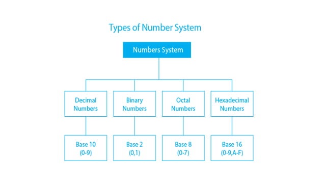 Lecture Three concerns NUMBERING SYSTEM.pptx