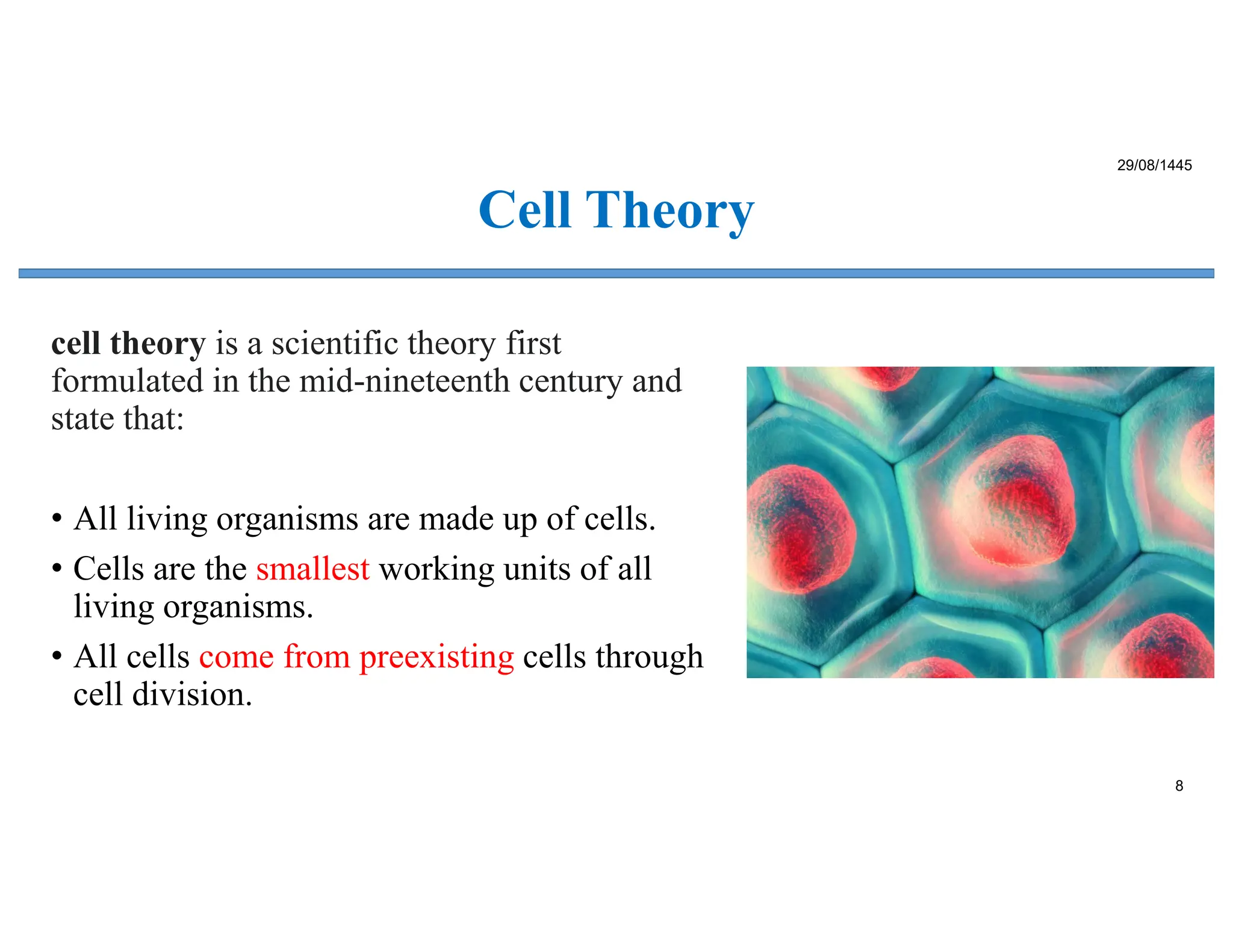biology introduction to the cell of biology | PPT