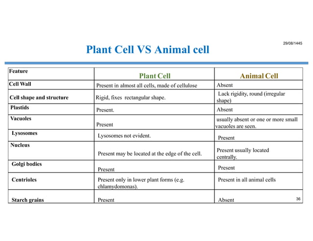 biology introduction to the cell of biology | PPT