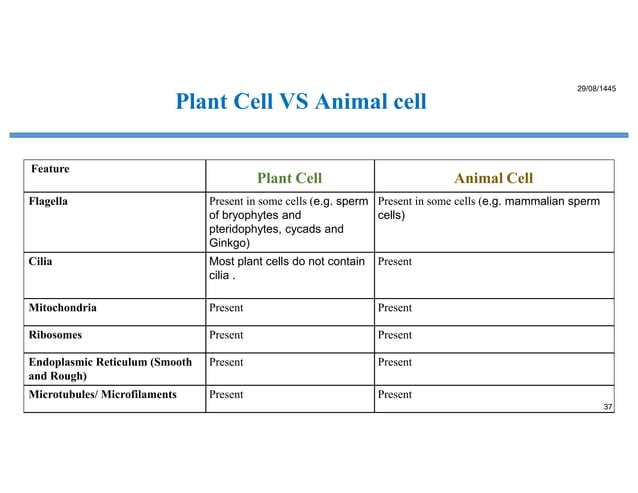 biology introduction to the cell of biology | PPT