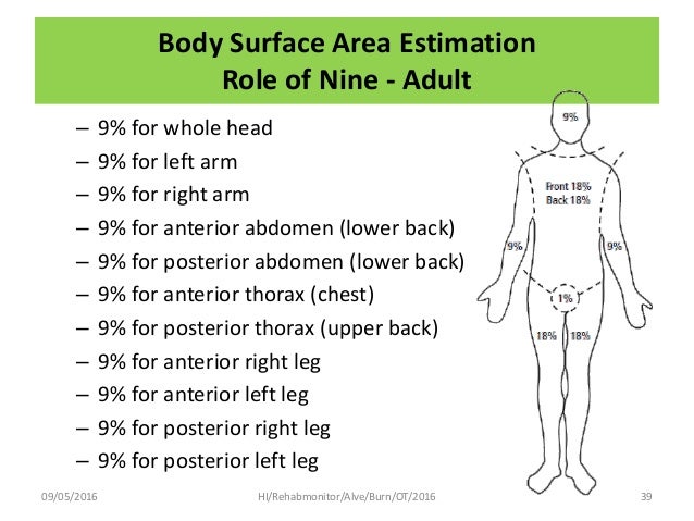 Physical Dysfunction: Burn Rehabilitation