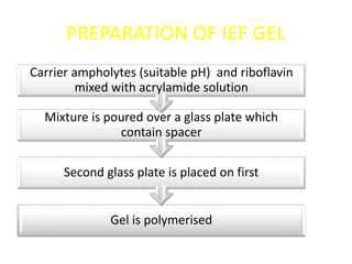 chromatofocusing, 2 de, ief | PPTX