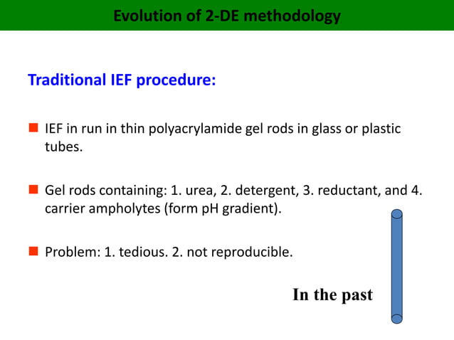 chromatofocusing, 2 de, ief | PPT
