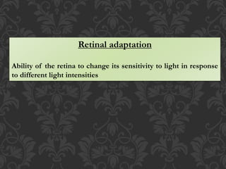 Lectuer retina1 | PPT