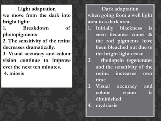 Lectuer retina1 | PPT