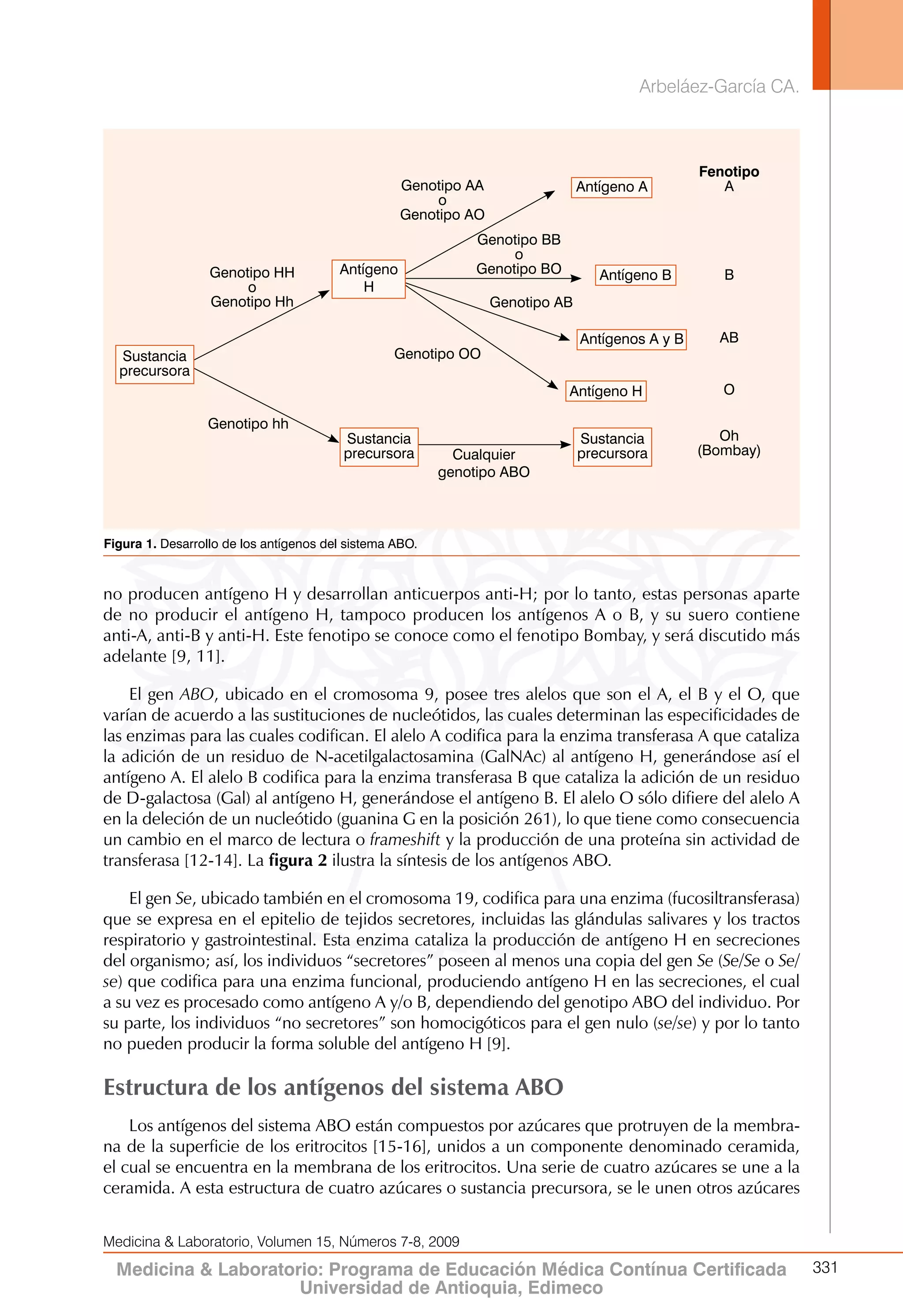 Lectura 12 Sem - sistema ABO.pdf