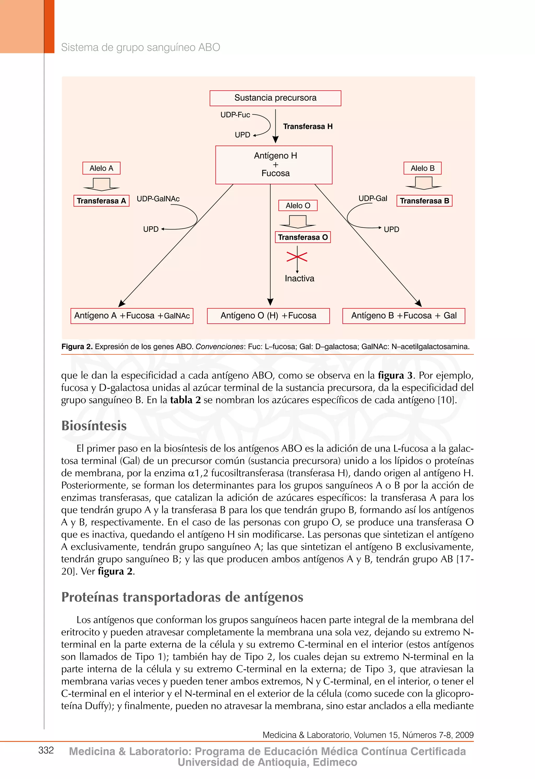 Lectura 12 Sem - sistema ABO.pdf