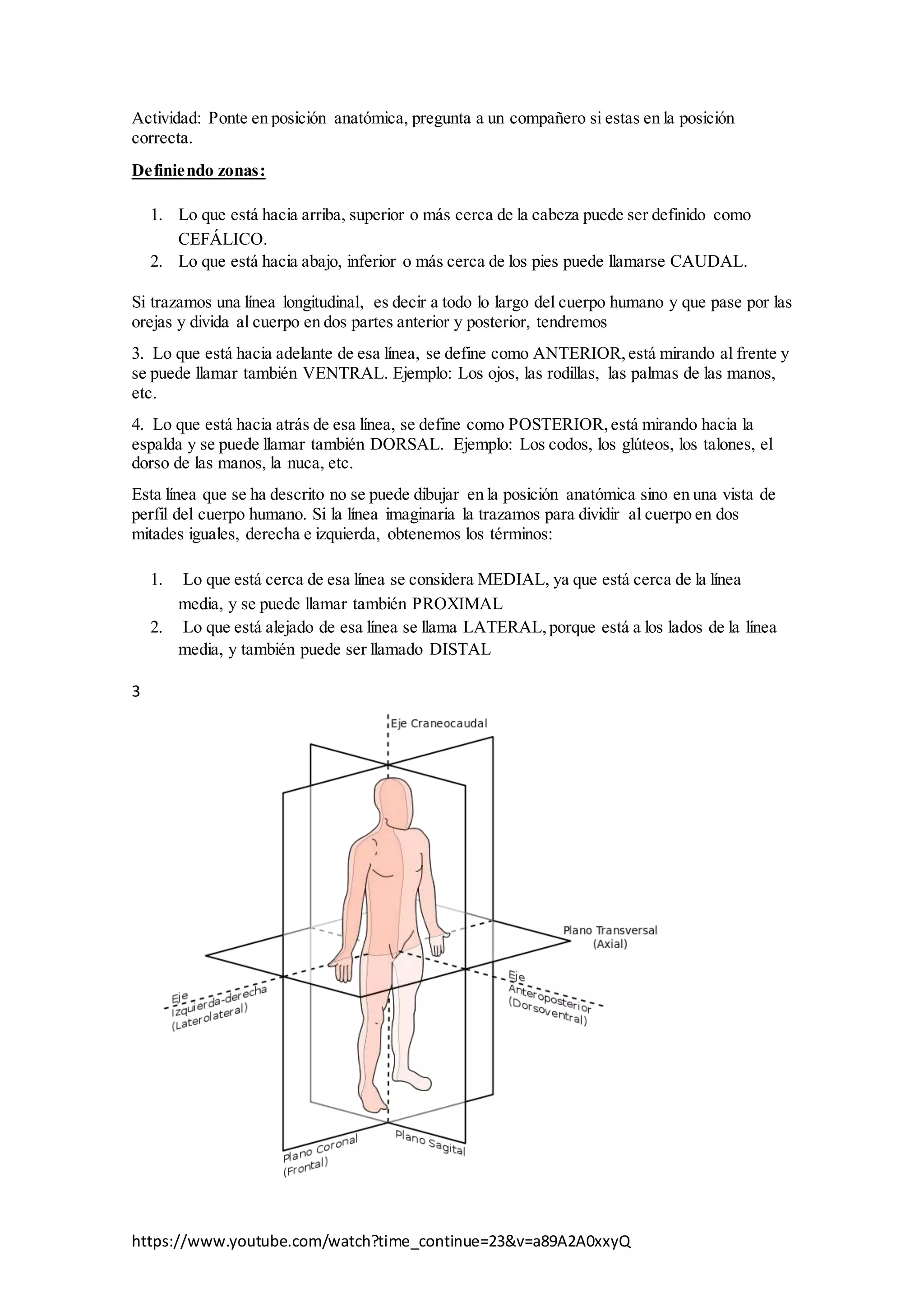 Lectura 1 regiones y cavidades | DOCX