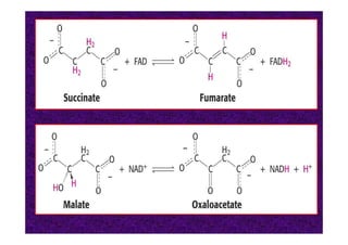 Comprehensive Overview of Vitamins: Types, Functions, Sources, and ...