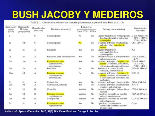 Lectura de antibiograma